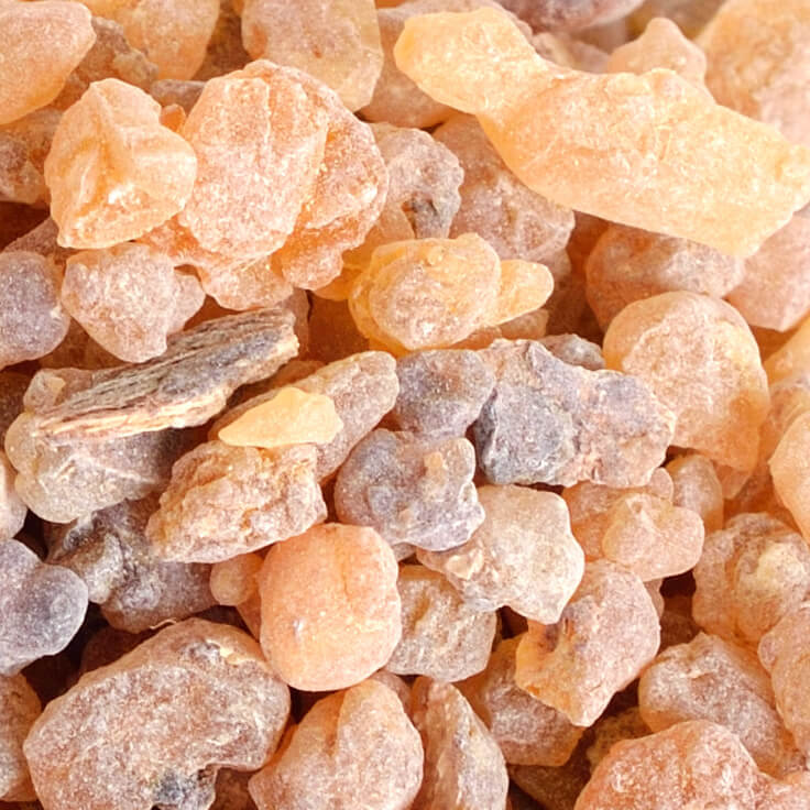 Boswellia Serrata (Kadidlovník pilovitý) - Ceněná ayurvédská bylina se ...