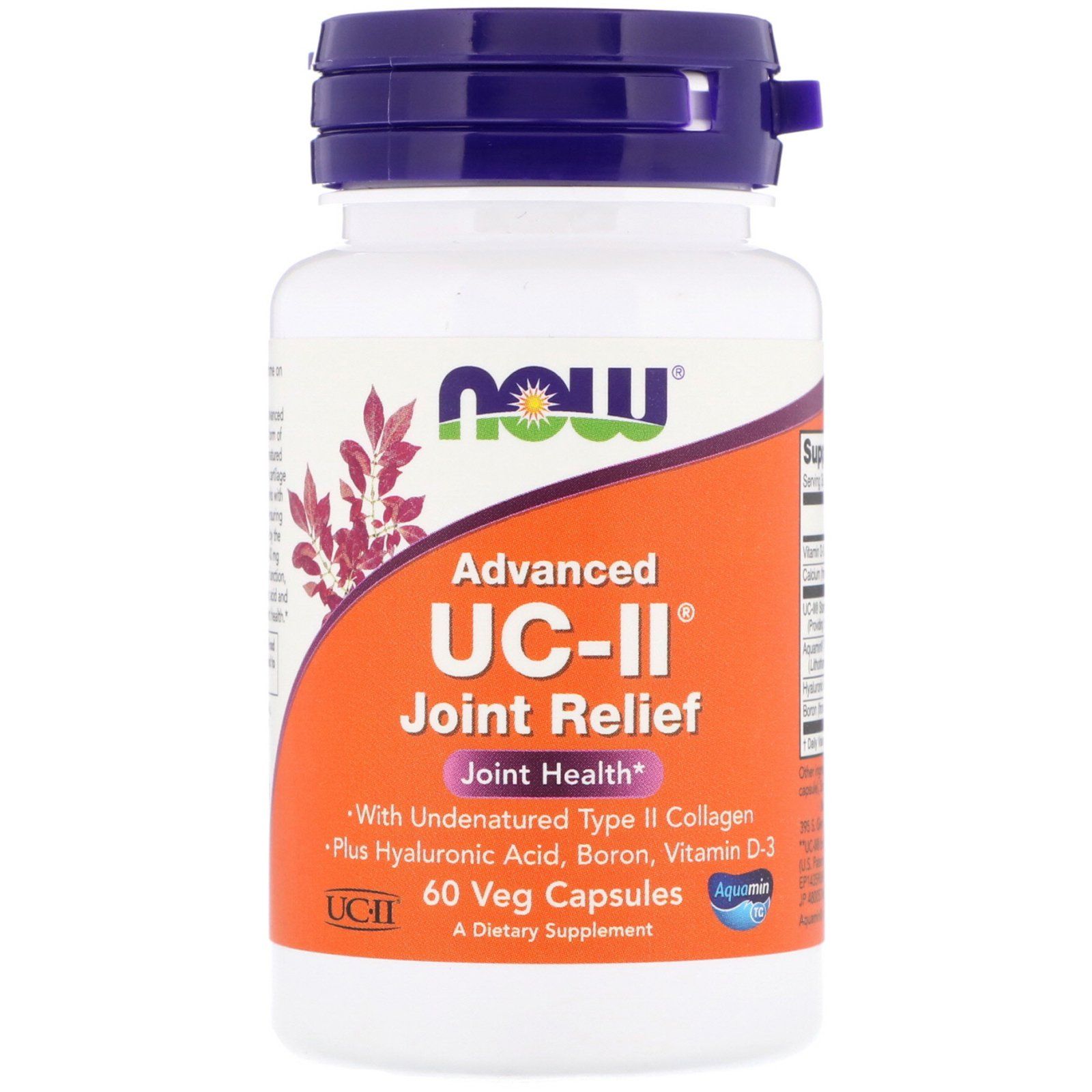 Now Foods Advanced UC-II Joint Relief (nativní kolagen typu II) , 60 ...